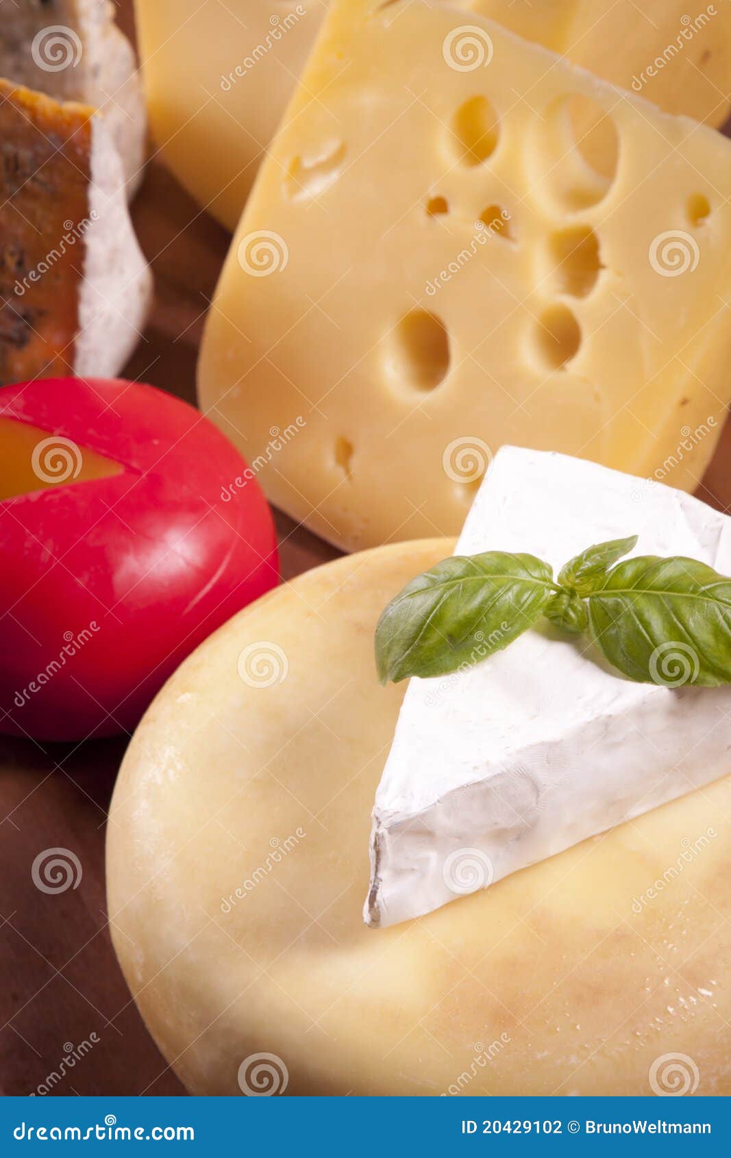 Cheese composition stock photo. Image of gourmet, composition - 20429102