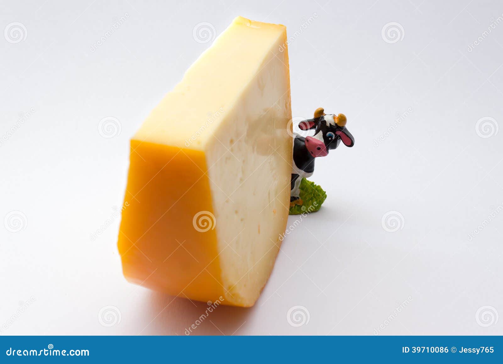 Cheese and cow stock photo. Image of produkt, imbiss - 39710086