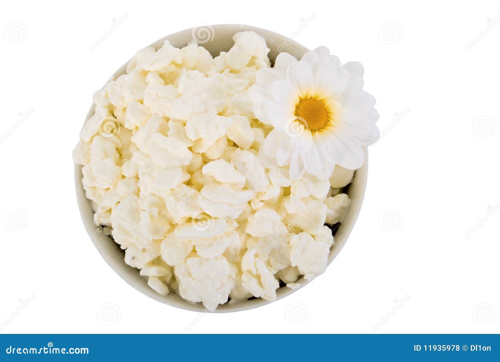 Cheese in Cup. Up View stock photo. Image of ingredient - 11935978