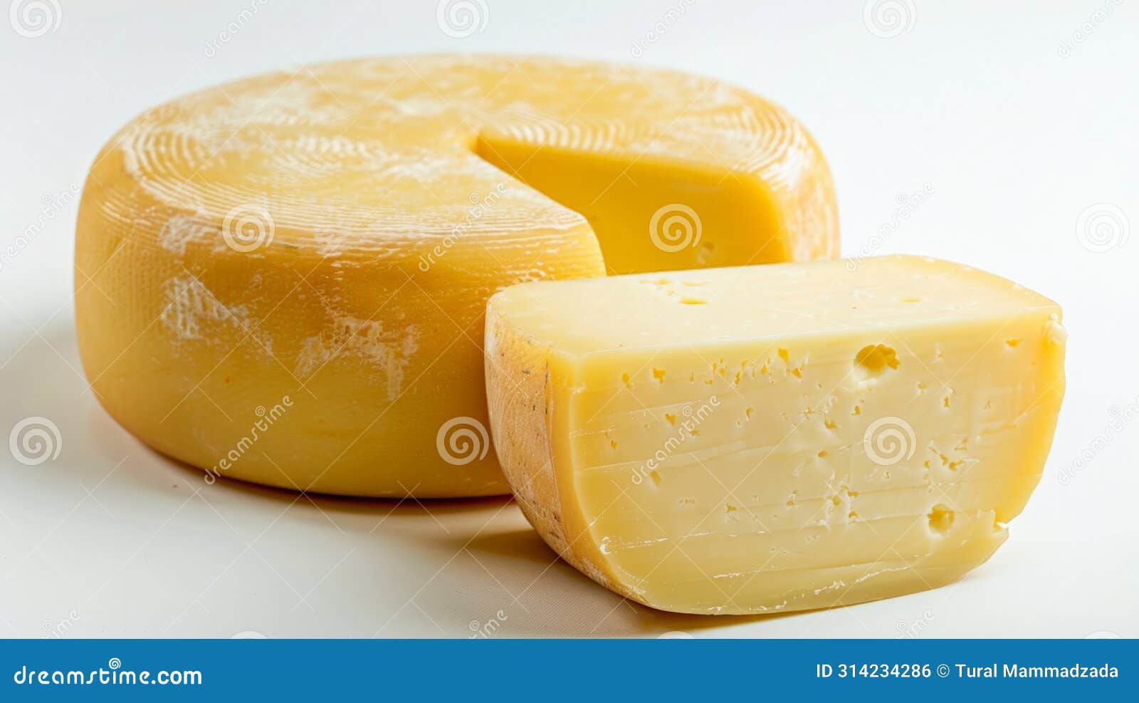 A cheese cut in half stock photo. Image of white, yellow - 314234286