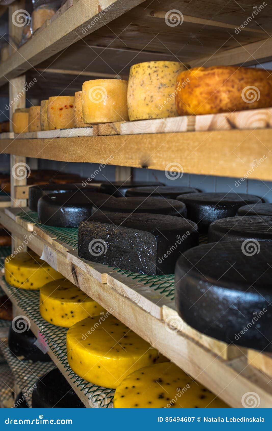 Cheese at the Dairy, Cheese is Ripen on Racks Stock Image - Image of ...