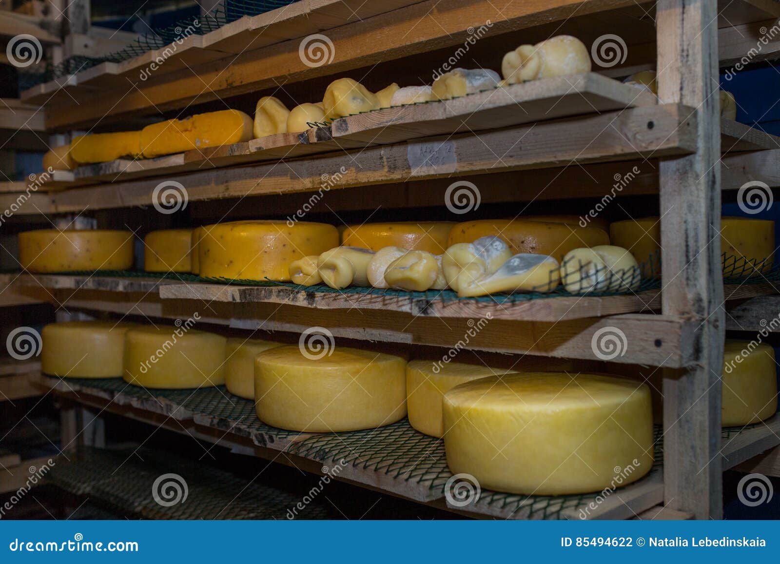 Cheese at the Dairy, Cheese is Ripen on Racks Stock Photo - Image of ...
