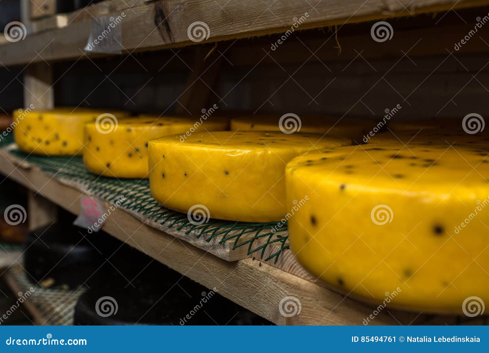 Cheese at the Dairy, Cheese is Ripen on Racks Stock Image - Image of ...