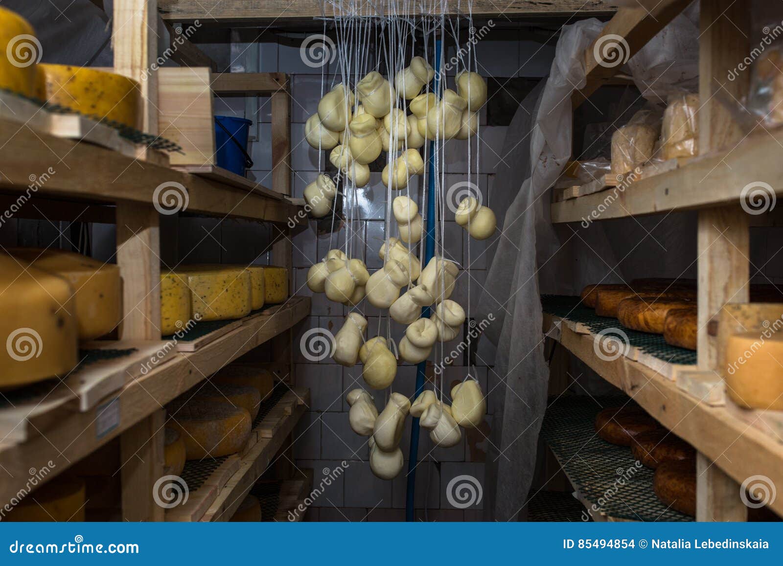 Cheese at the Dairy, Cheese is Ripen on Racks Stock Photo - Image of ...