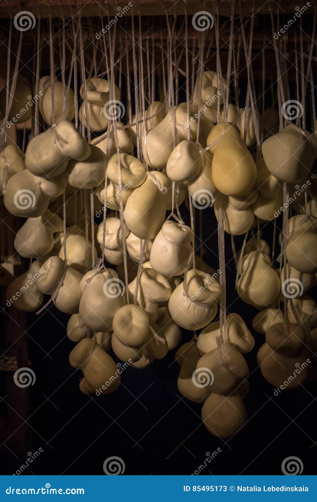 Cheese at the Dairy, Scamorza Cheese Hanging Matures Stock Image ...