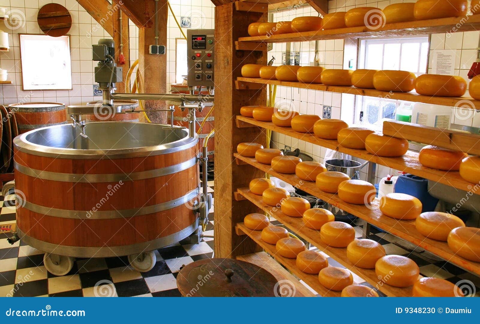 Cheese factory stock photo. Image of press, milk, amsterdam - 9348230
