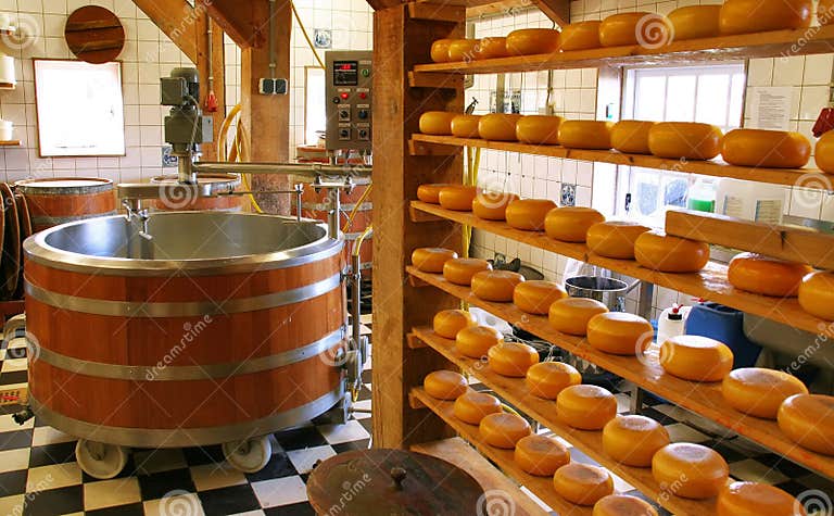 Cheese factory stock photo. Image of press, milk, amsterdam - 9348230