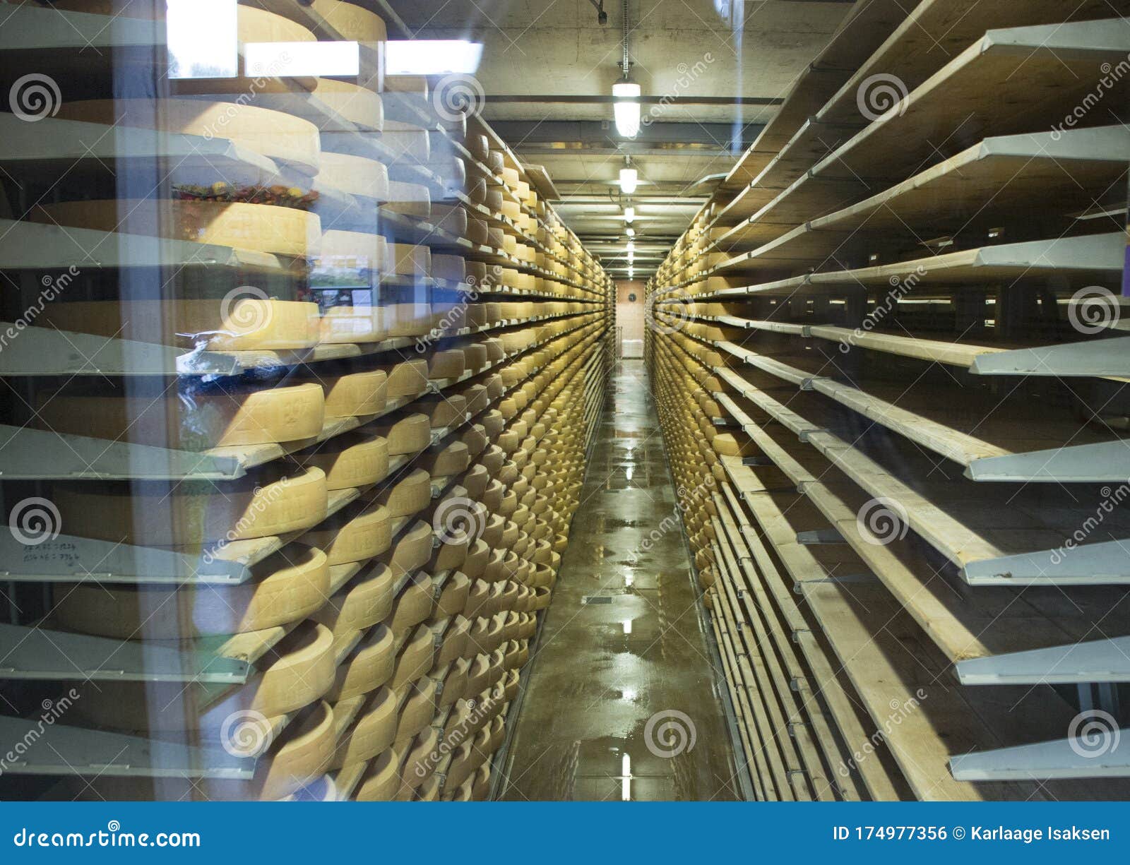 Cheese Factory Production Shelves Editorial Photo - Image of factory ...