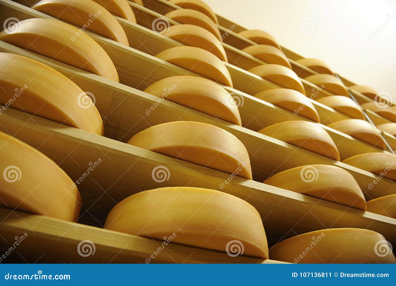 Cheese Factory in Switzerland Stock Image - Image of circle, layers ...