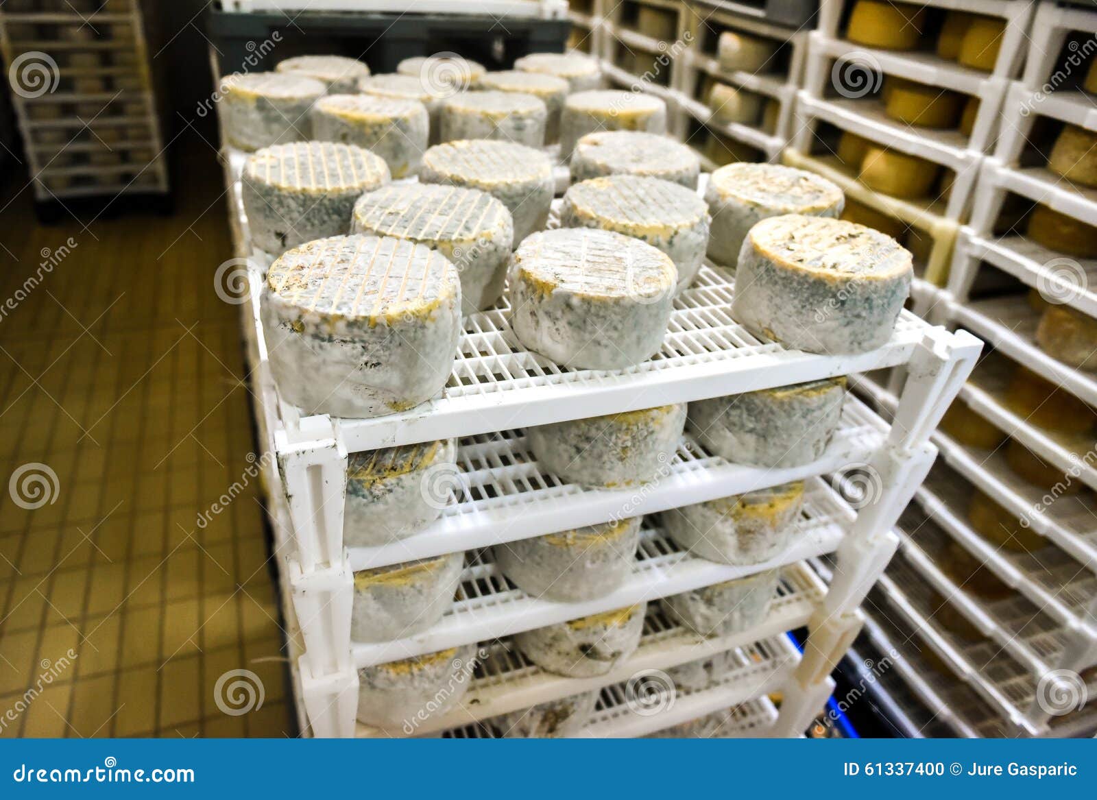 Cheese Factory Warehouse with Shelves Stacked with Cheese Stock Photo ...