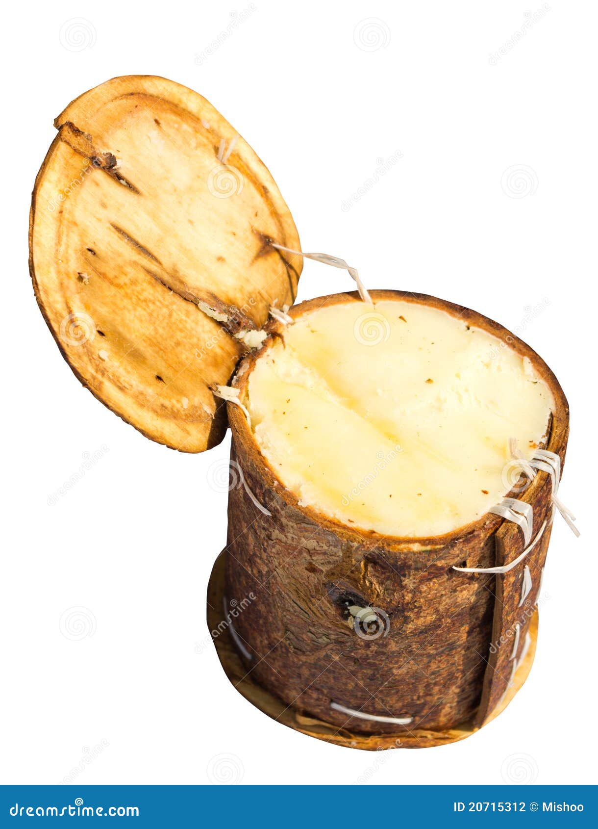 Cheese in fir tree bark stock photo. Image of appetizer - 20715312
