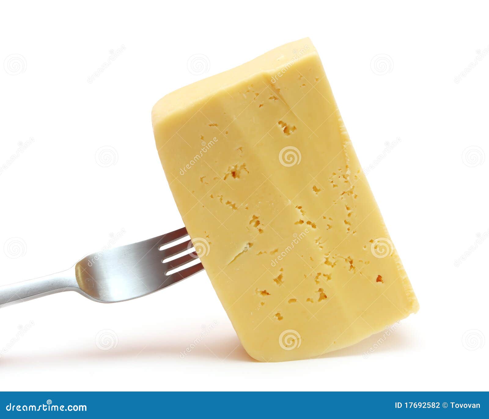 Cheese on fork stock photo. Image of culinary, gourmet - 17692582