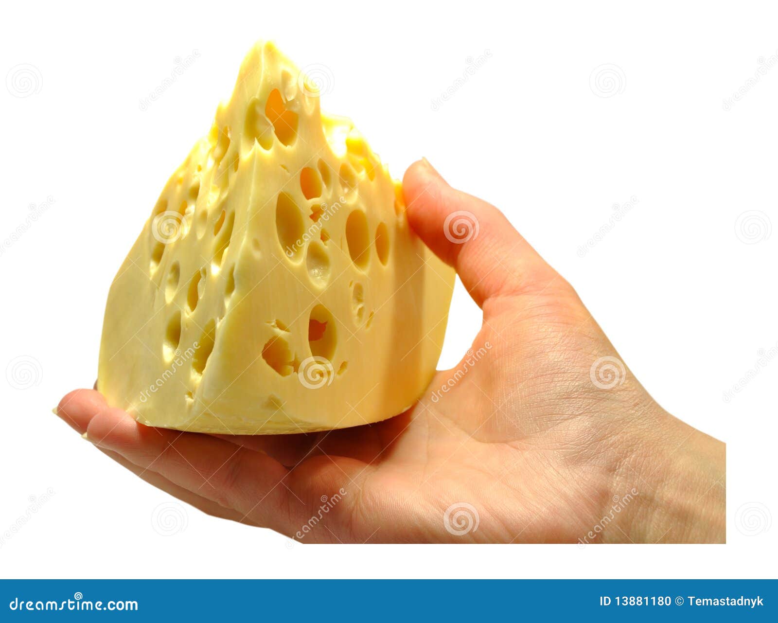 Cheese in hand stock photo. Image of large, lunch, gourmet - 13881180
