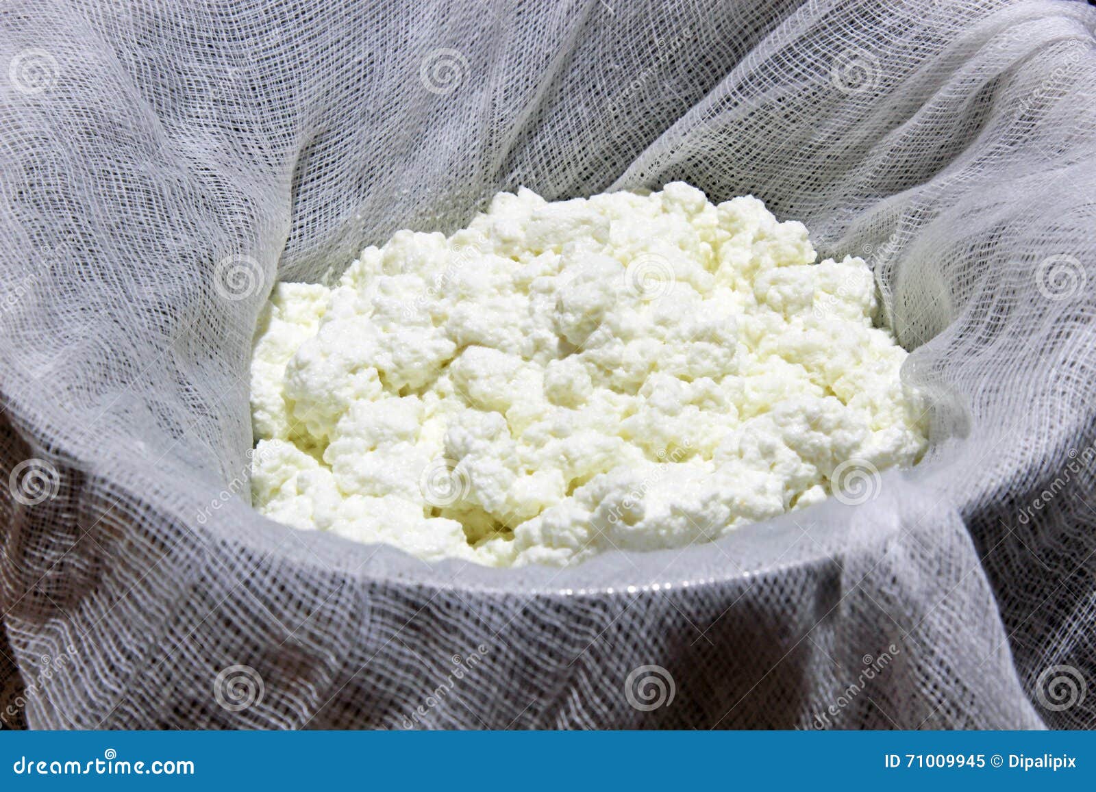 Cheese stock image. Image of healthy, homemade, chena - 71009945