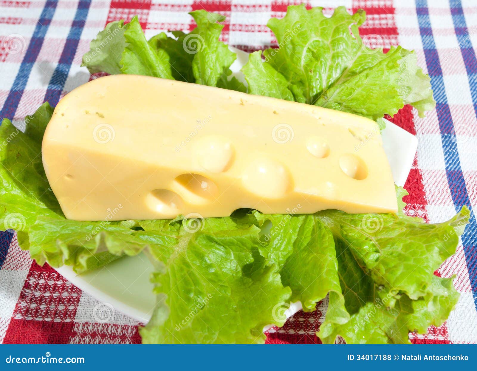 Cheese and lettuce stock photo. Image of full, lettuce - 34017188