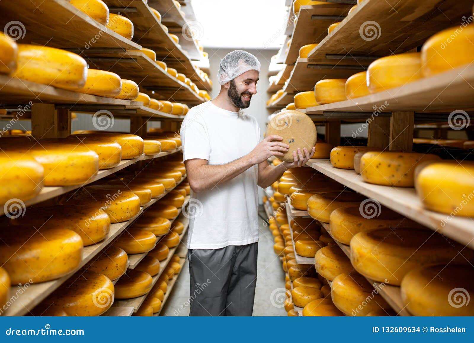 Cheese Maker at the Cheese Storage Stock Photo - Image of industry ...