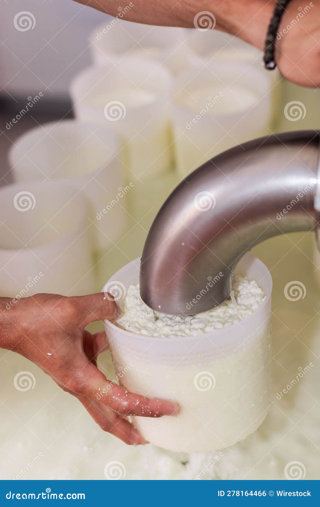 Cheese Maker Preparing the Machine for the Cheese-making Process. Stock ...