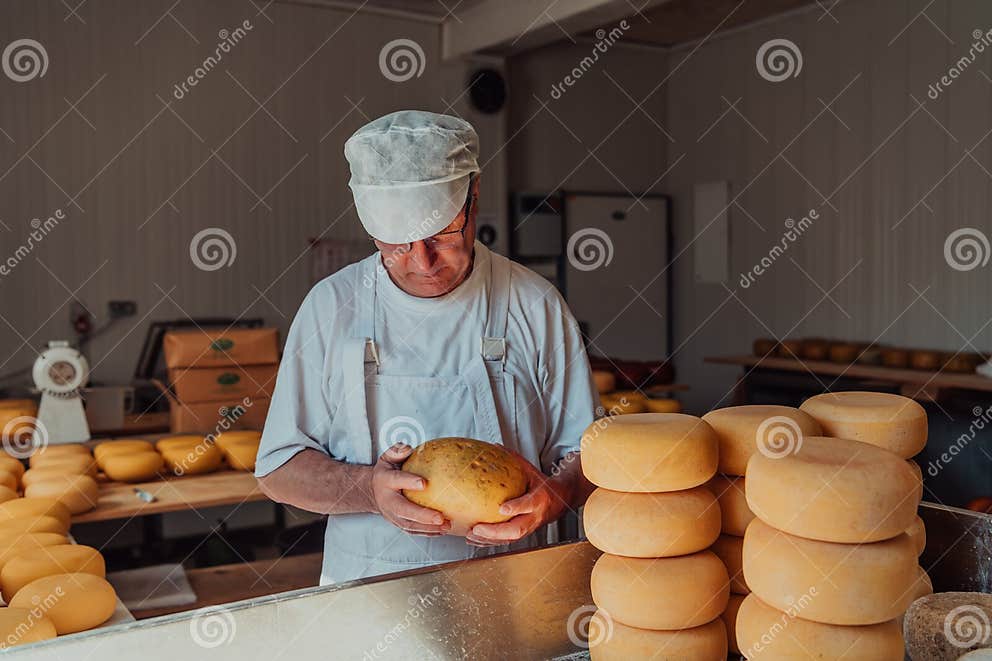 The Cheese Maker Sorting Freshly Processed Pieces of Cheese and ...