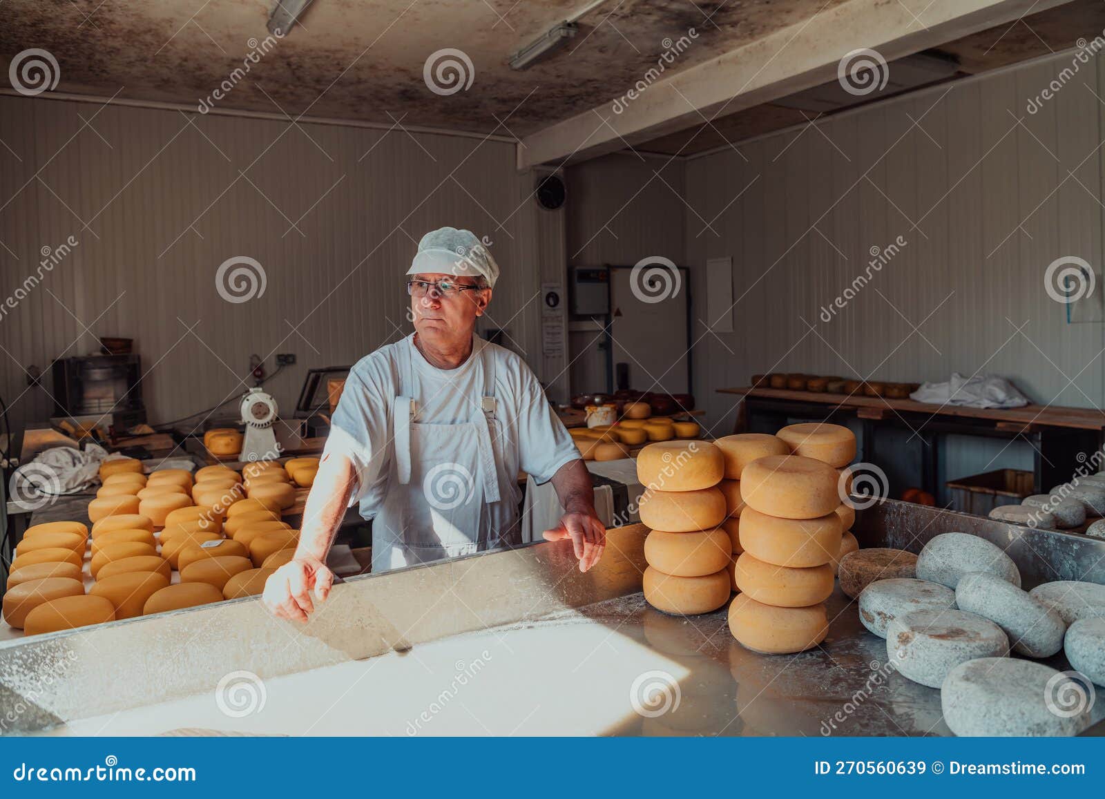 The Cheese Maker Sorting Freshly Processed Pieces of Cheese and ...