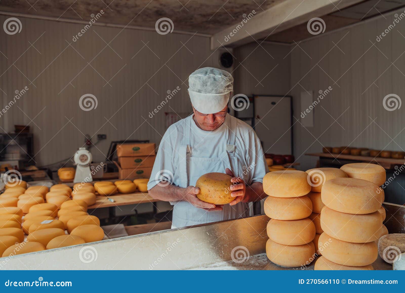 The Cheese Maker Sorting Freshly Processed Pieces of Cheese and ...