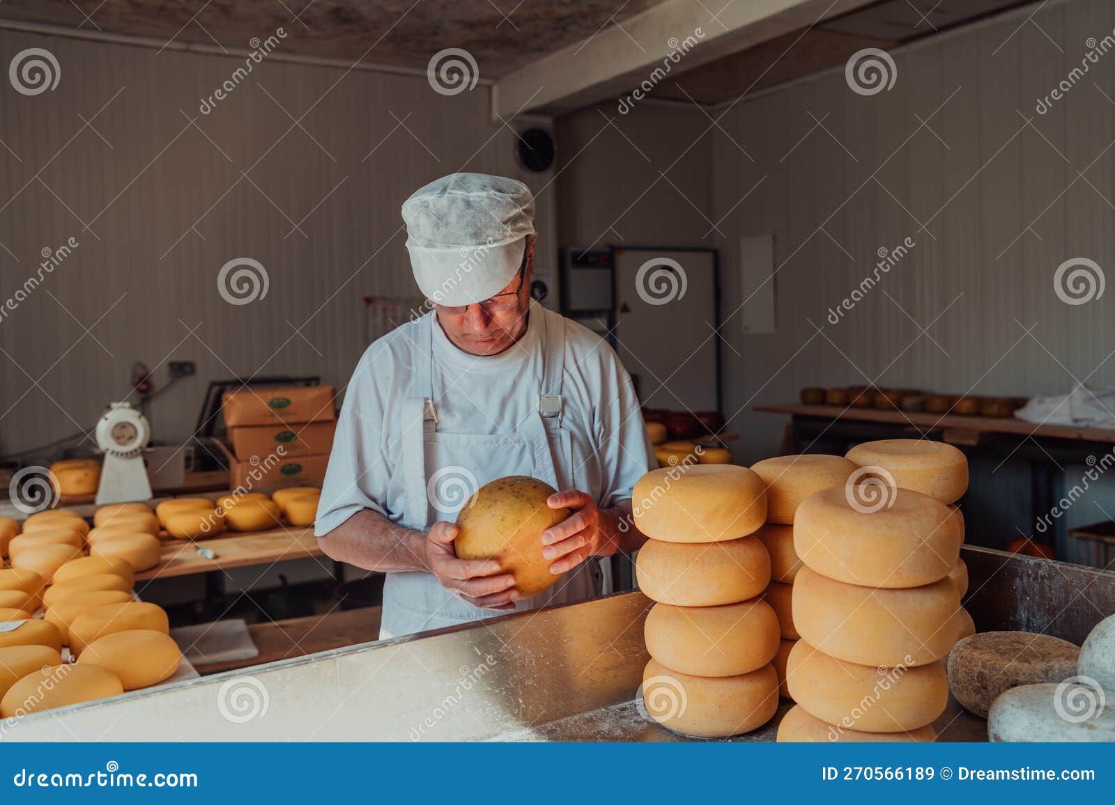 The Cheese Maker Sorting Freshly Processed Pieces of Cheese and ...