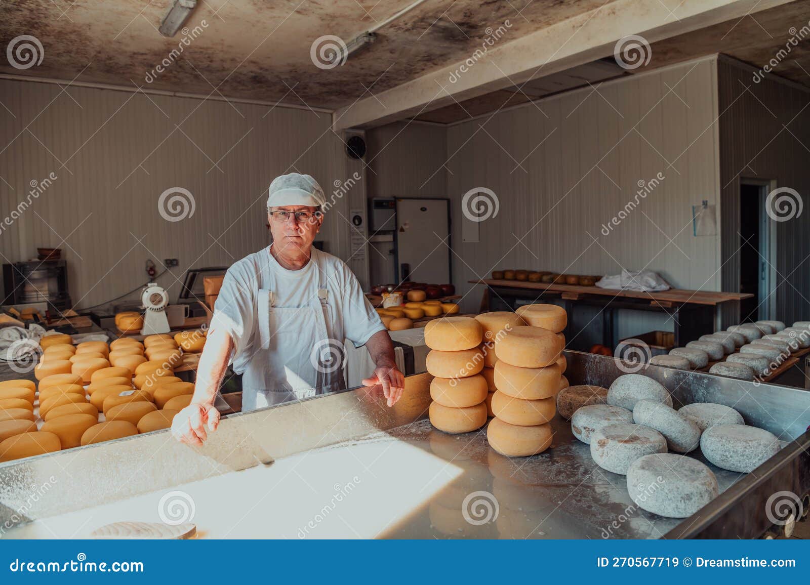 The Cheese Maker Sorting Freshly Processed Pieces of Cheese and ...