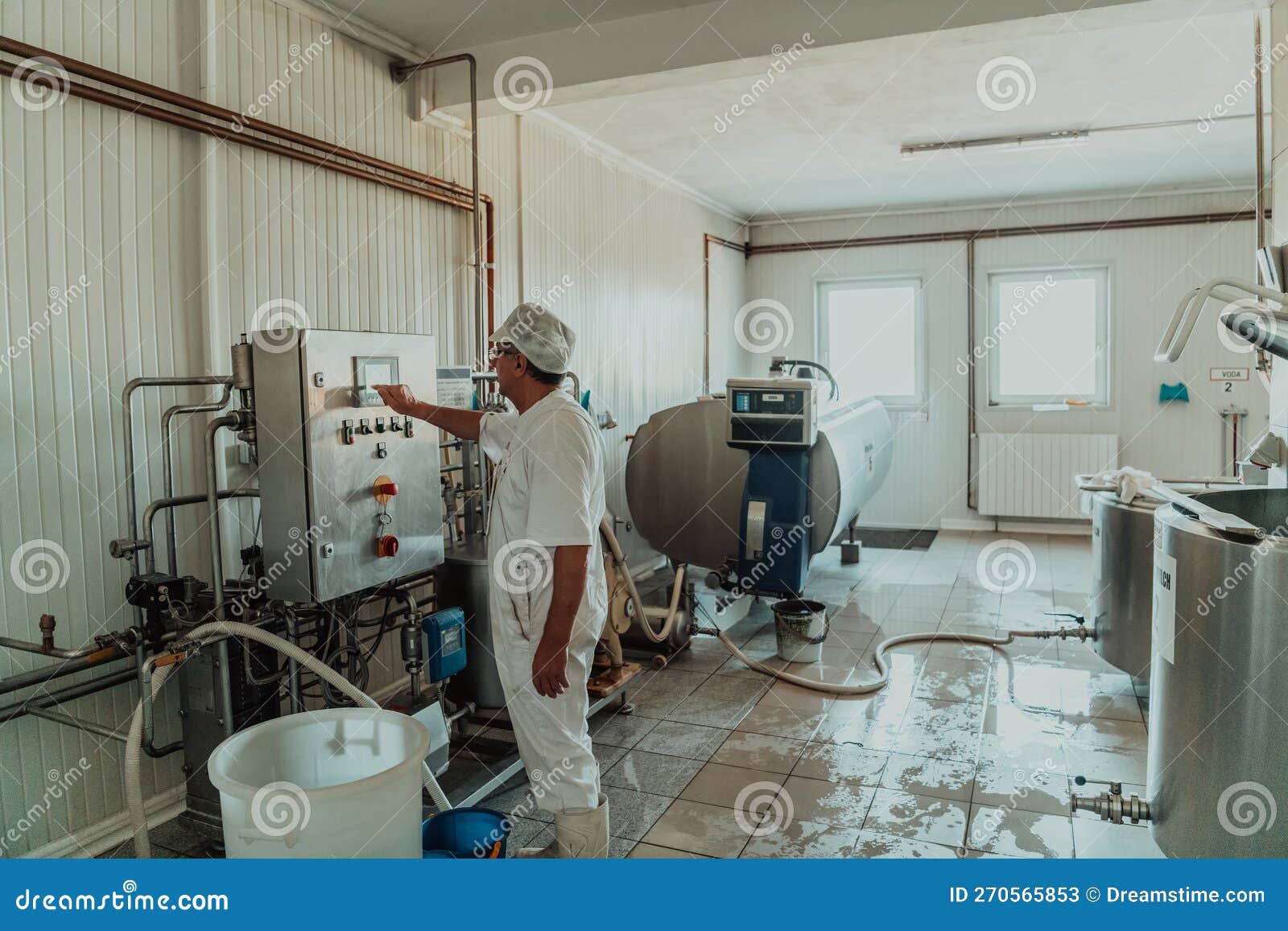 Cheese Maker Working in the Modern Industry on Machines that are Using ...