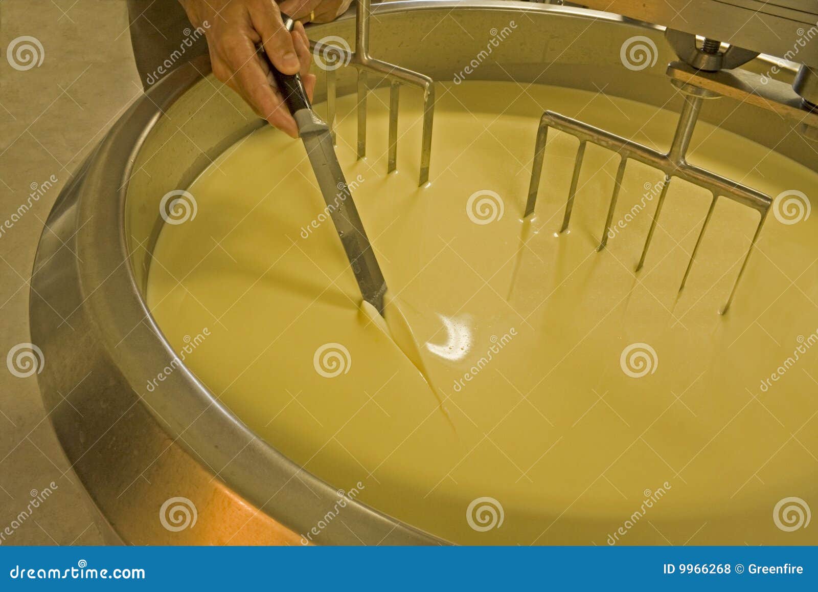 Cheese Making stock photo. Image of cheese, mixing, factory - 9966268
