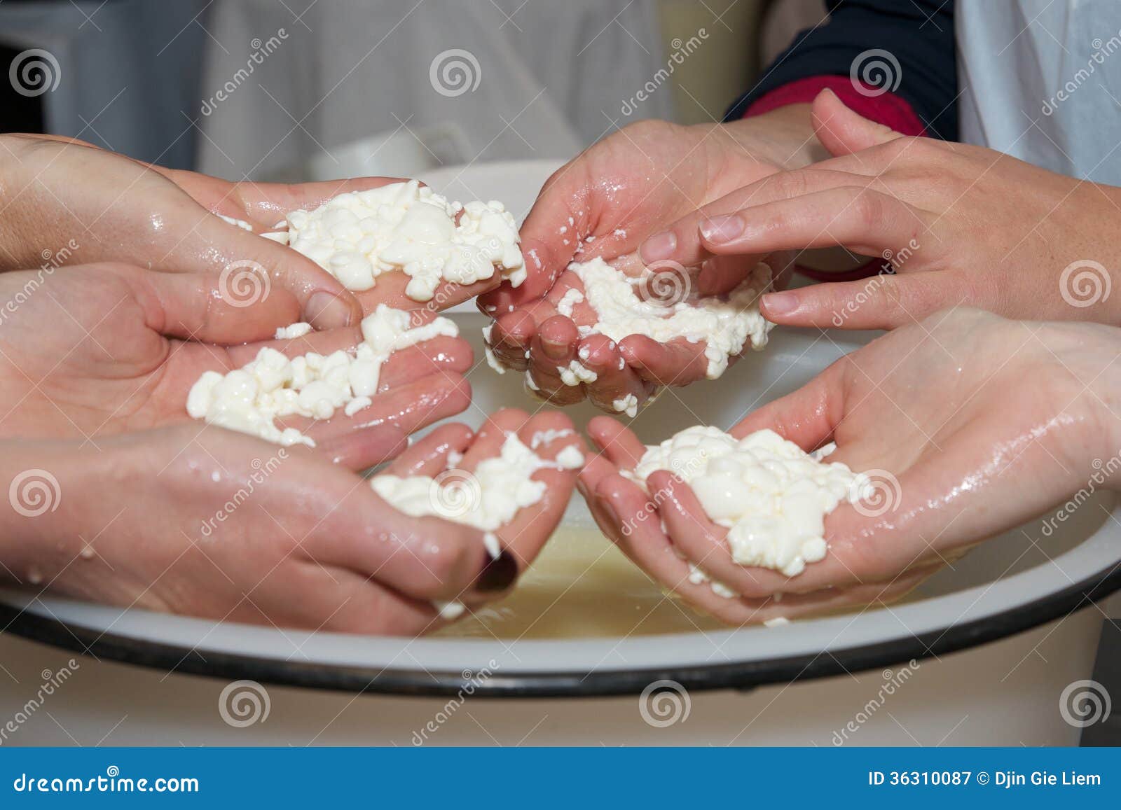 Cheese making, curd stock image. Image of hands, making - 36310087