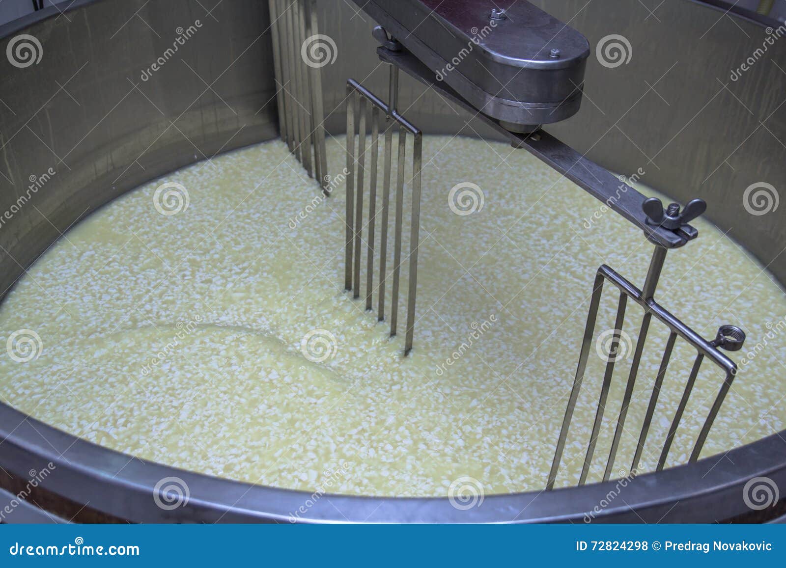 Cheese making stock photo. Image of cheese, instrument - 72824298