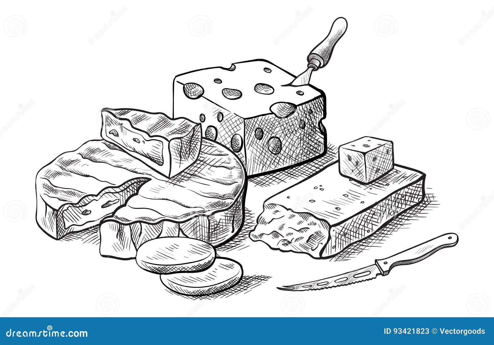 Cheese Making Various Types of Cheese Set of Vector Sketches Stock ...