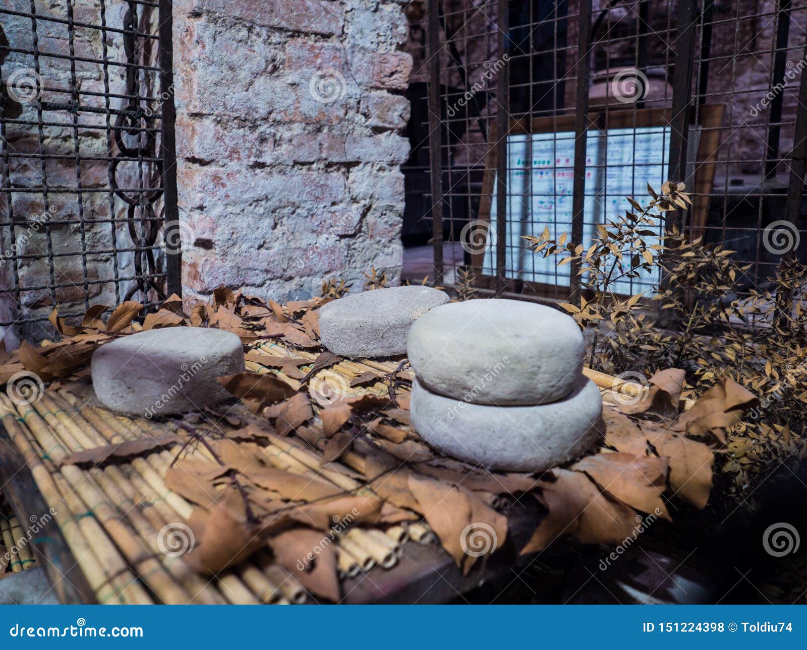 Cheese Maturing in an Ancient Stone Cellar Stock Photo - Image of cave ...