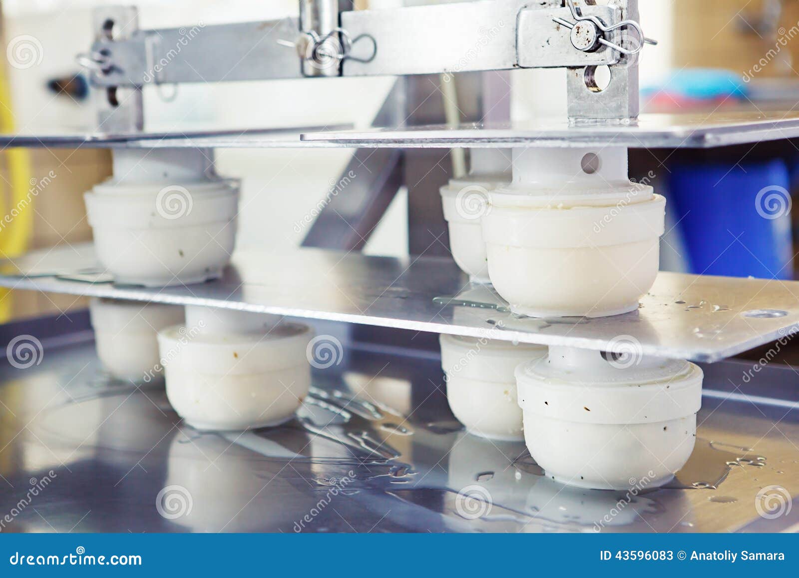 Cheese Molds in the Press Machin Stock Image - Image of equipment ...