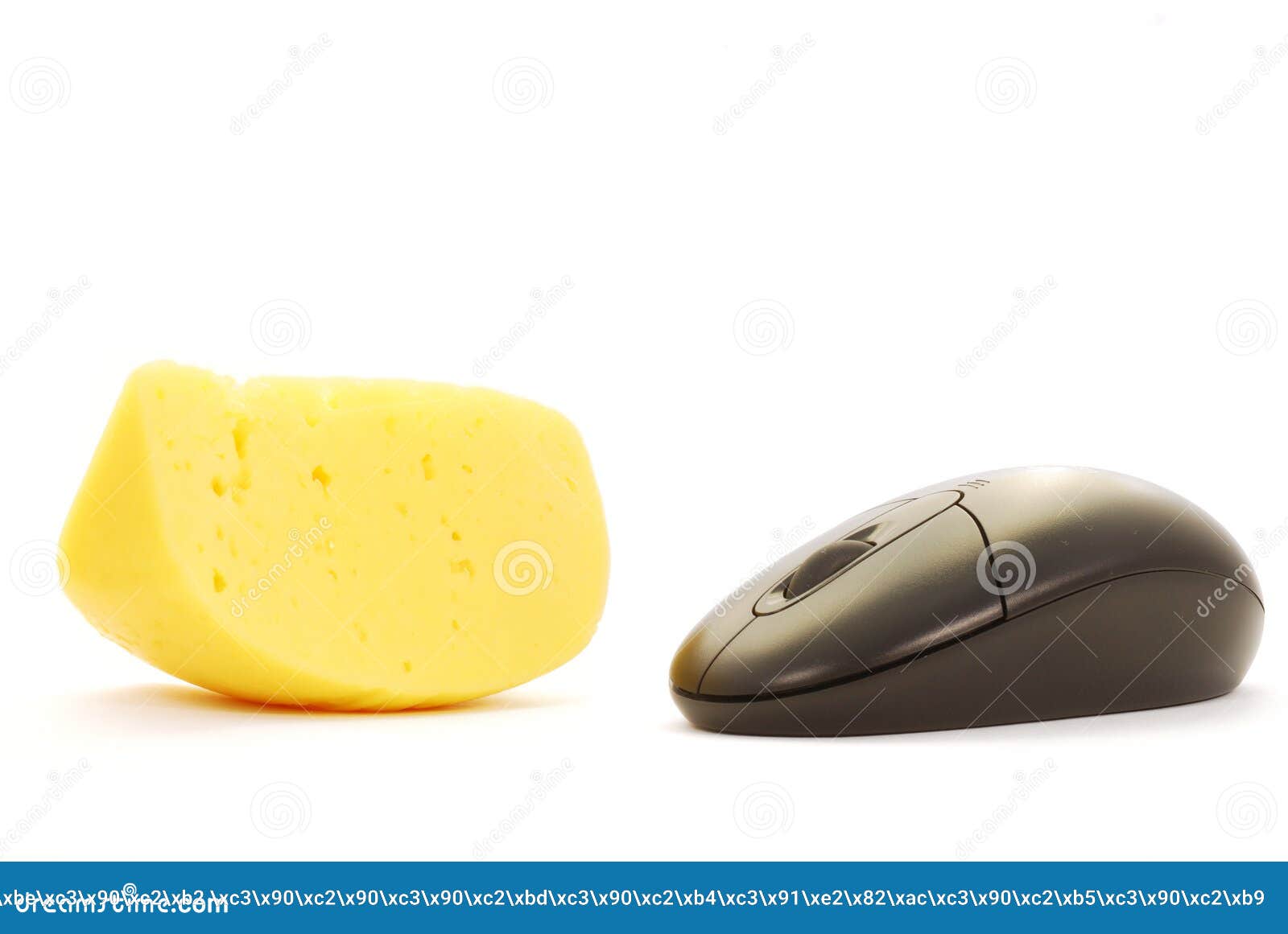 Cheese and Mouse stock photo. Image of milk, food, healthy - 12557126