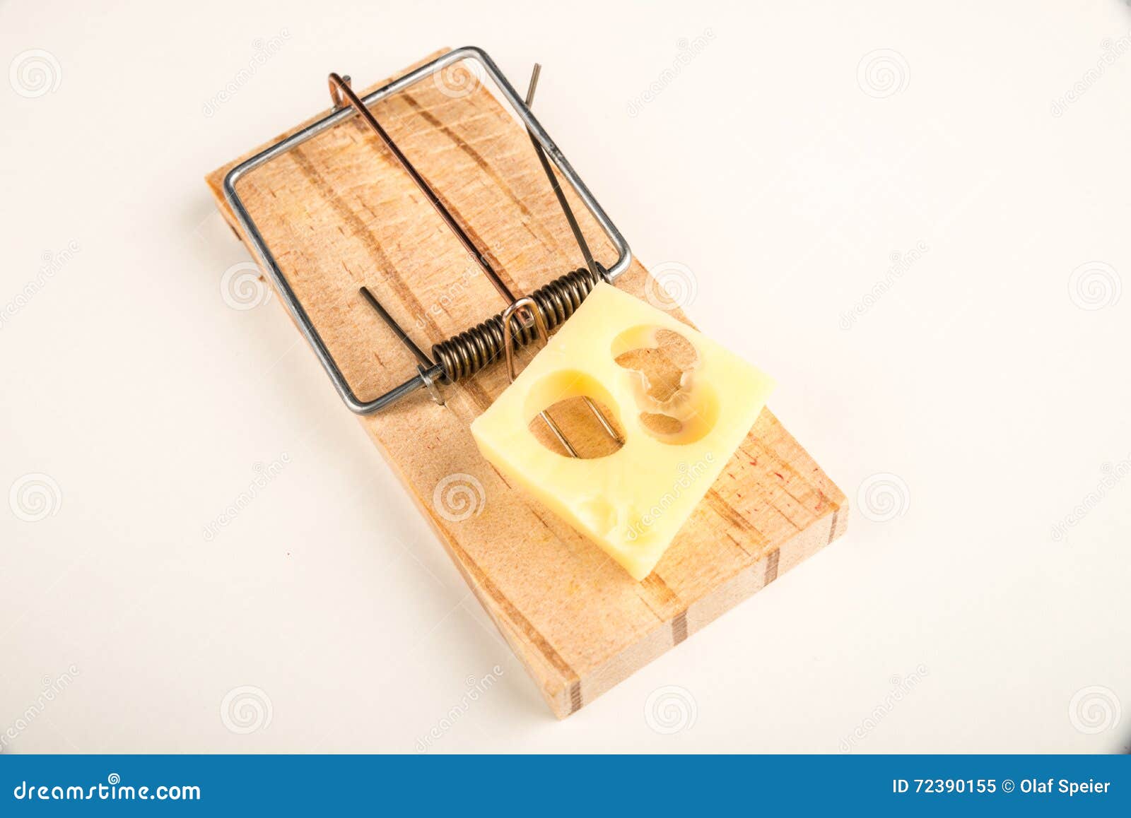 Cheese on a mouse trap stock image. Image of trap, cheese - 72390155