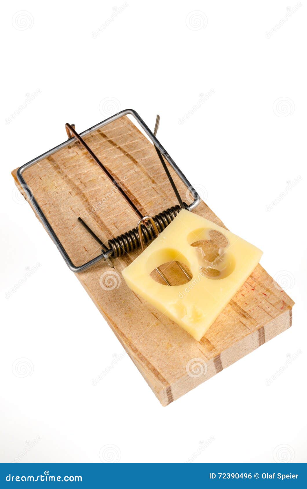 Cheese on a mouse trap stock photo. Image of concept - 72390496