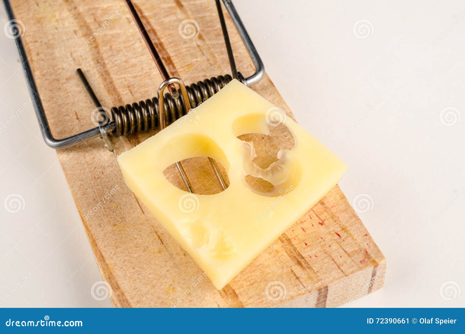 Cheese on a mouse trap stock image. Image of prey, risk - 72390661