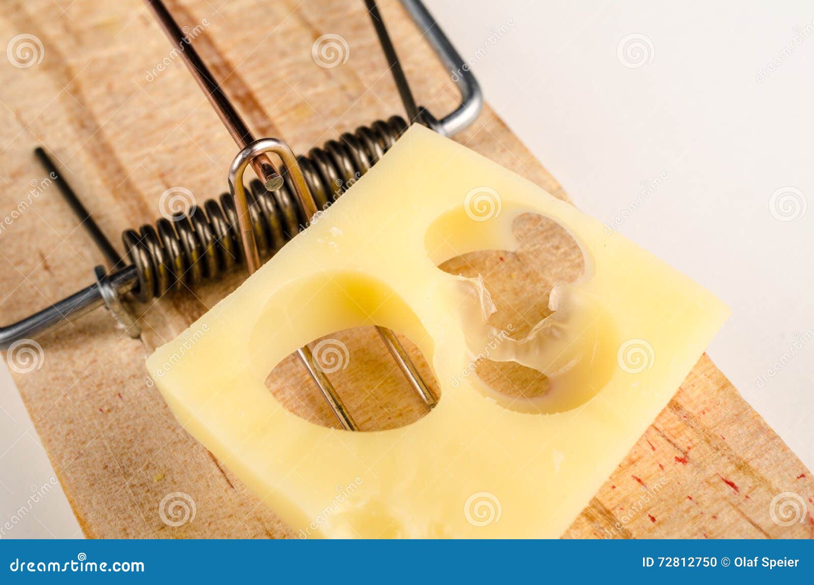 Cheese on a mouse trap stock photo. Image of bait, mousetrap - 72812750