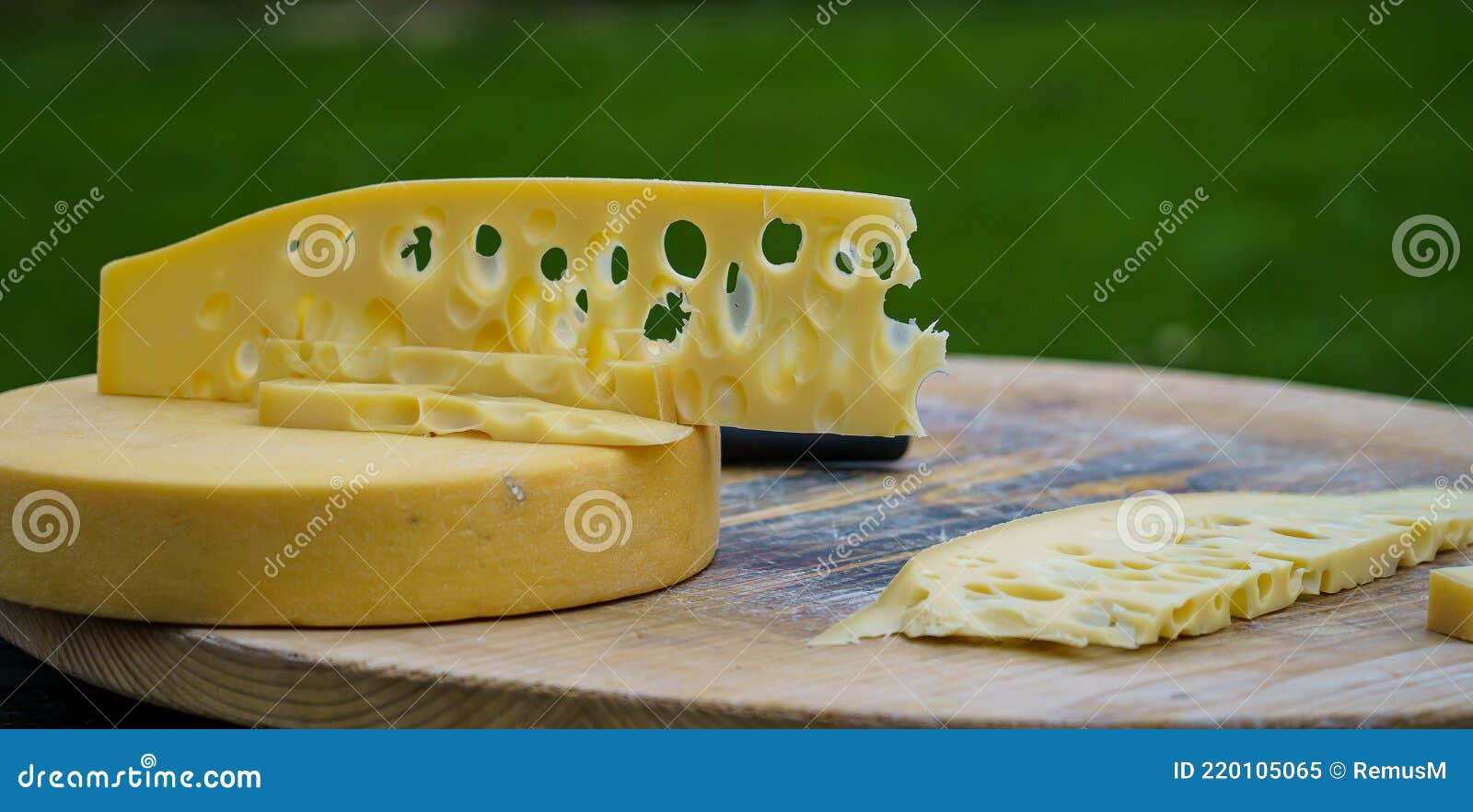 Cheese with Natural Holes, Slice from the Maturation Process. Stock ...