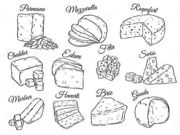 289 Cheese Outline Drawing Set4 Stock Illustration - Illustration of ...