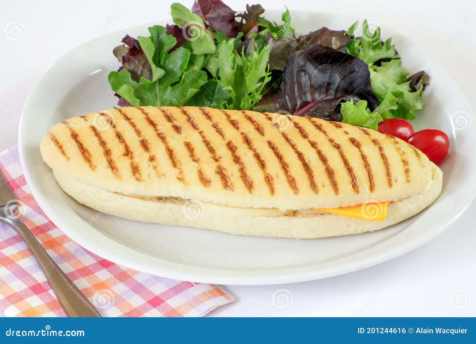 Cheese panini stock photo. Image of bread, meal, panini - 201244616