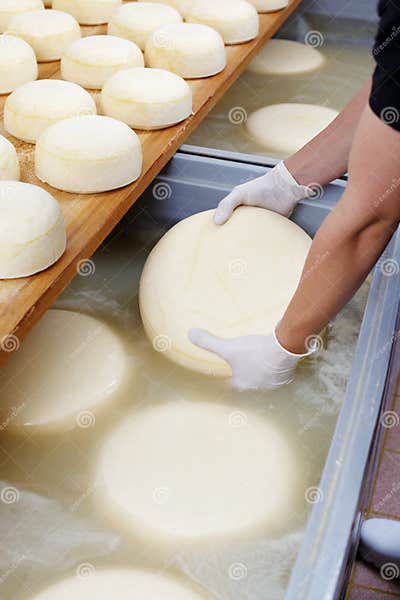 Cheese process stock image. Image of crust, bathing, round - 31303051