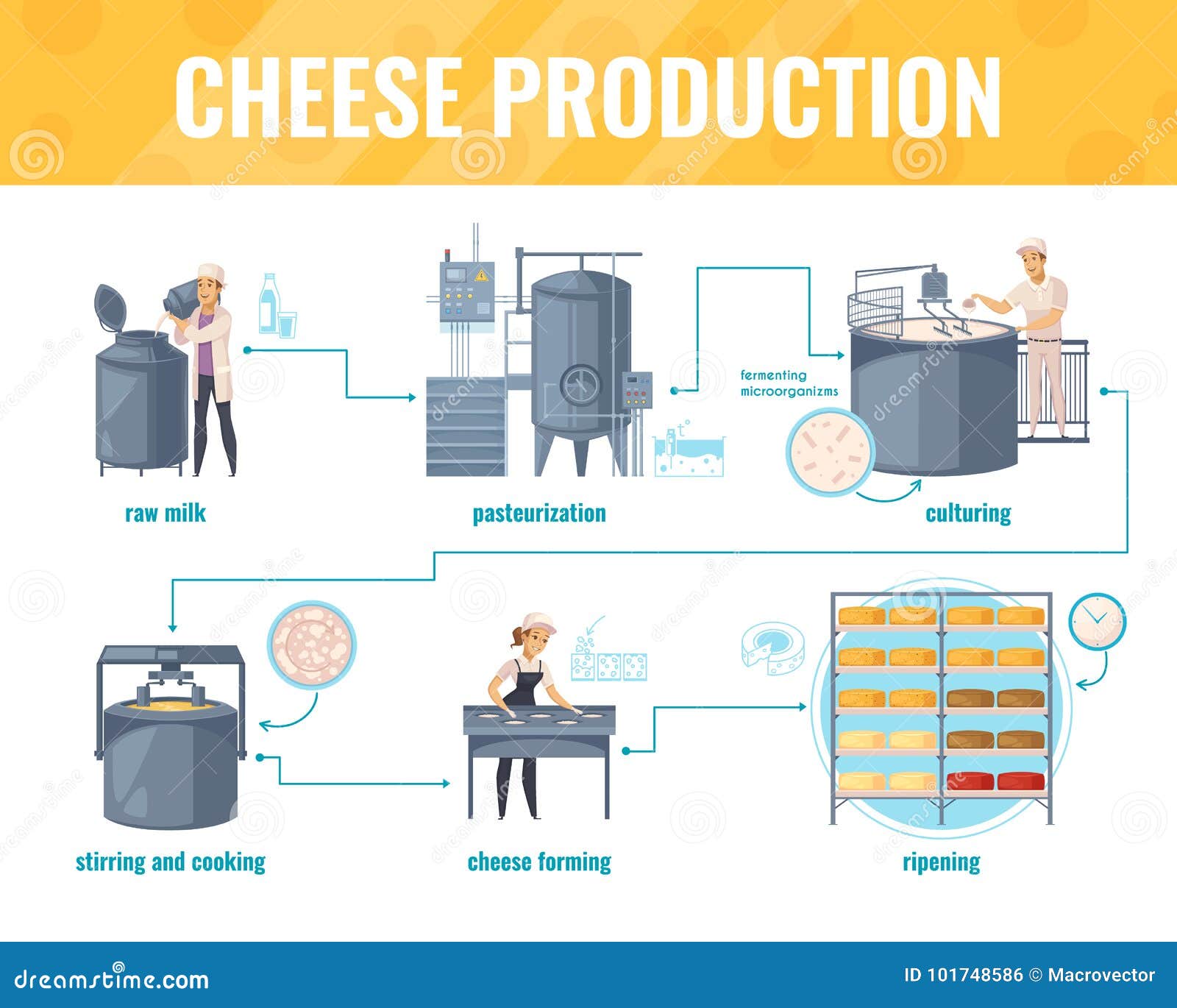 Cheese Production Isometric Flowchart Cartoon Vector | CartoonDealer ... Cheese Production Isometric Flowchart Cartoon Vector | CartoonDealer ...