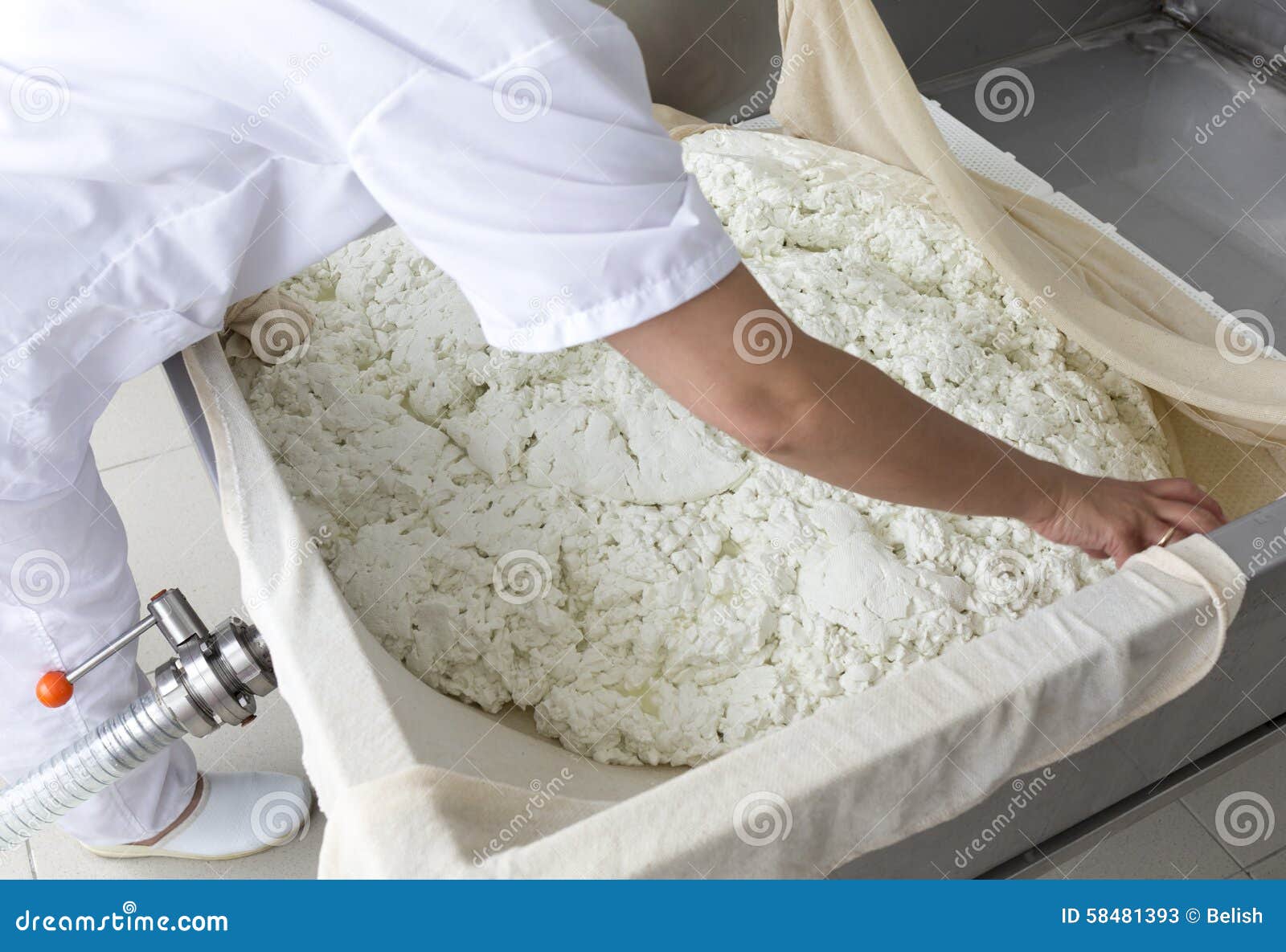Cheese Production Creamery Dairy Final Stock Image - Image of prepare ...