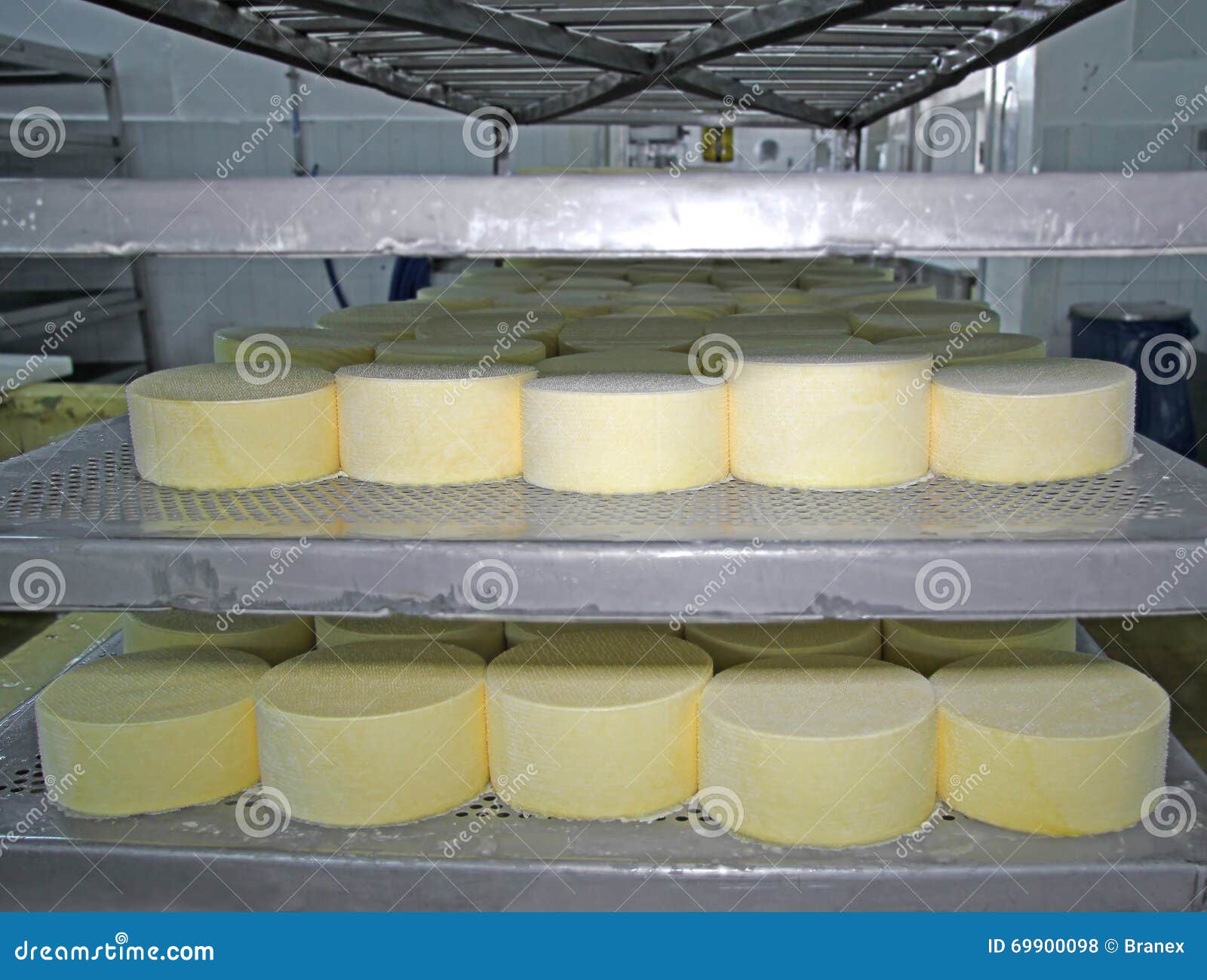 Cheese production stock photo. Image of making, maturation - 69900098