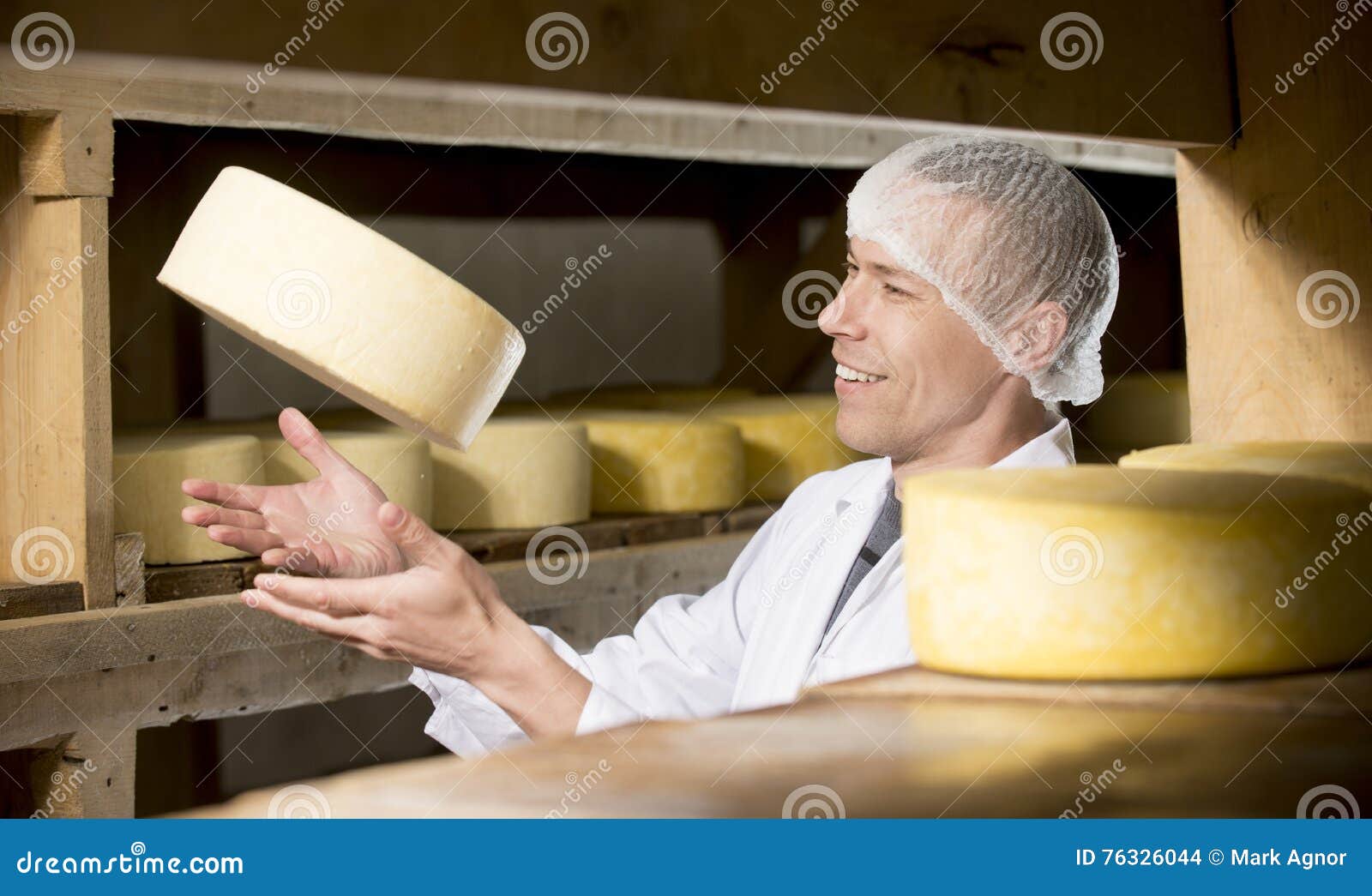 Cheese Production at Factory Stock Photo - Image of occupation, plant ...
