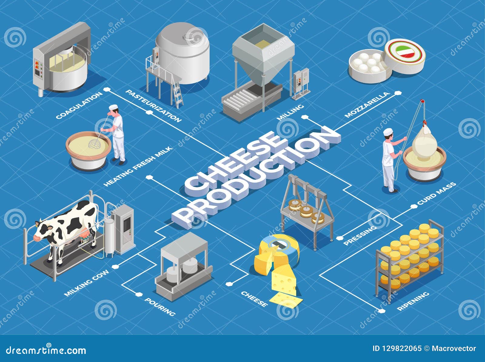 Cheese Production Isometric Flowchart Cartoon Vector | CartoonDealer ...