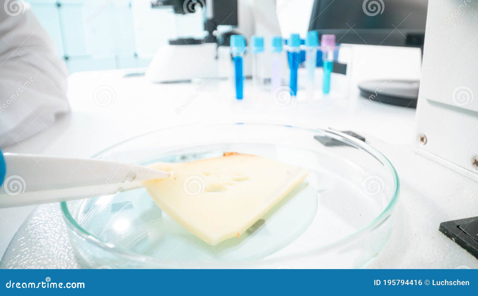 Cheese Quality Inspection in a Quality Control Laboratory Stock Photo ...