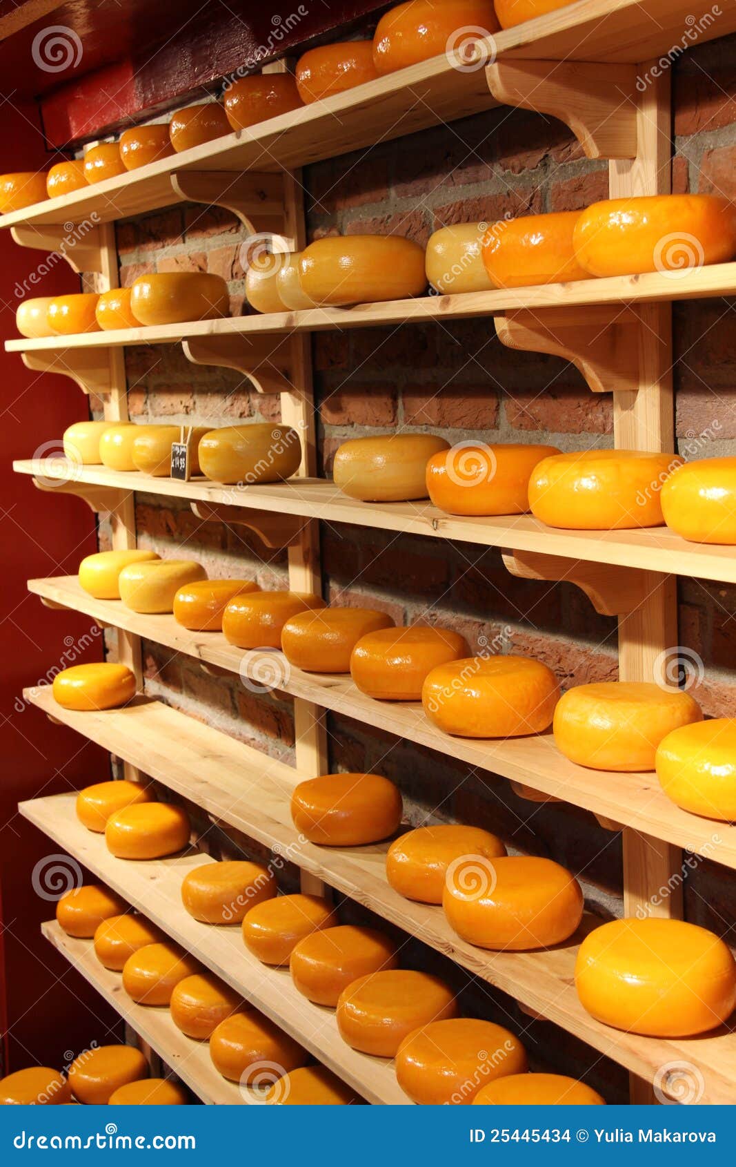 Cheese rounds stock photo. Image of product, organic - 25445434