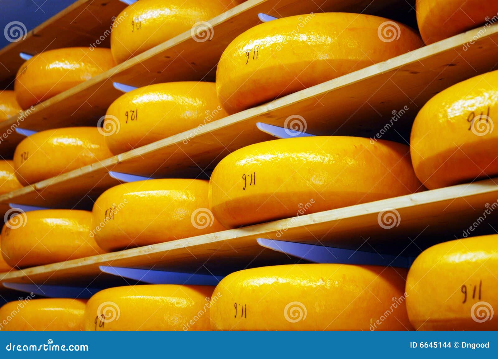 Cheese Rounds stock photo. Image of gouda, cheesery, cheddar - 6645144